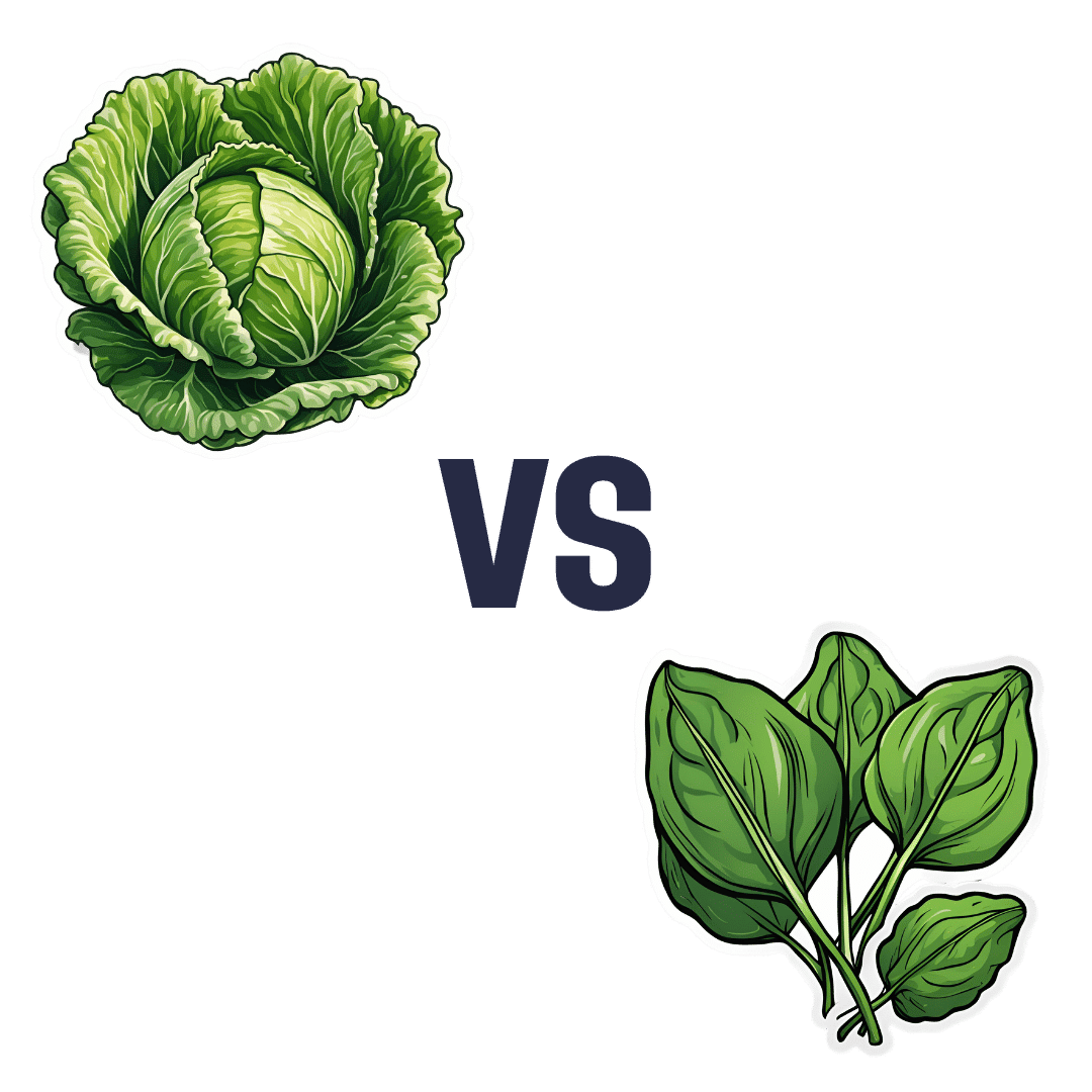 Cabbage vs Spinach – Which is Healthier? | 10almonds
