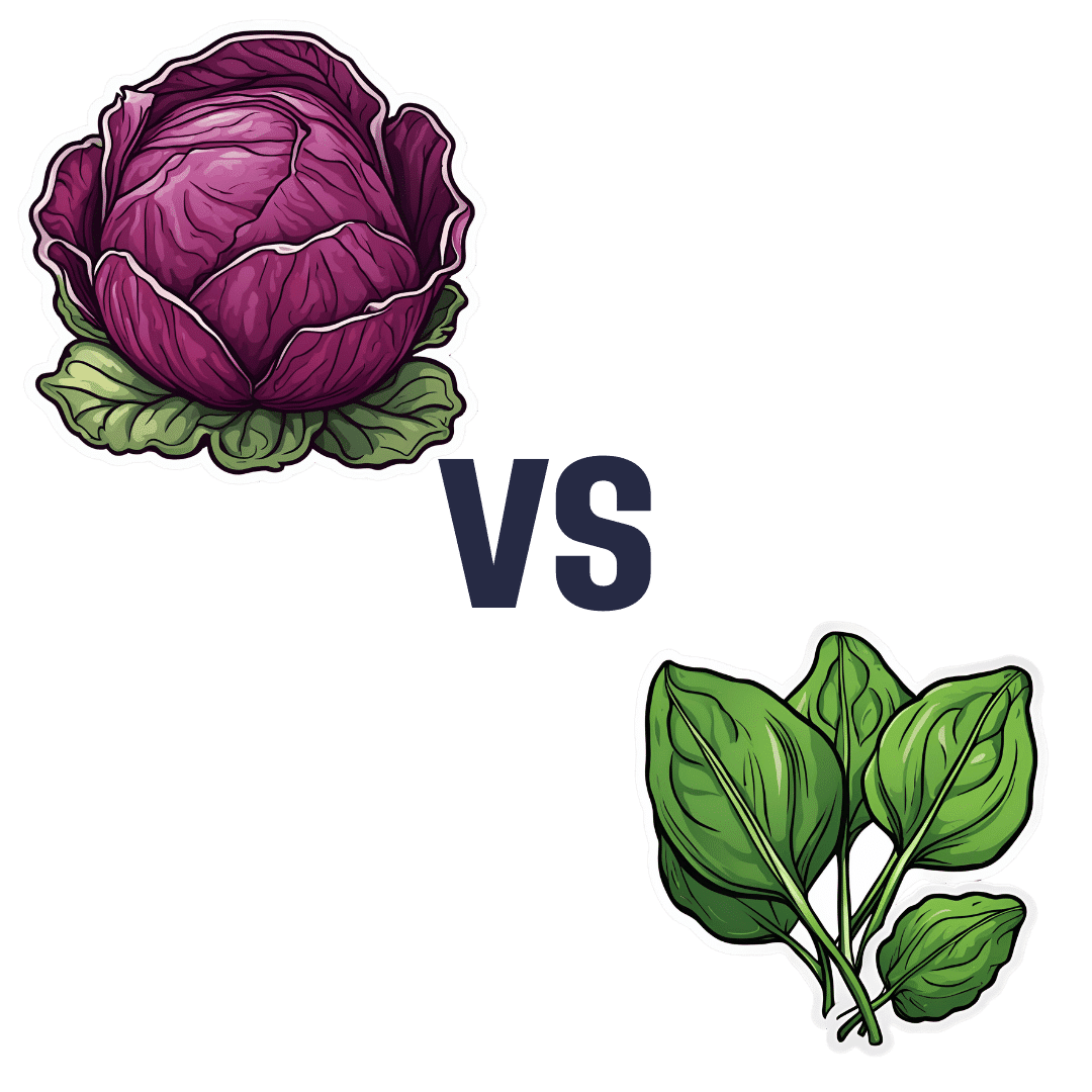 Figs vs Prunes – Which is Healthier? | 10almonds