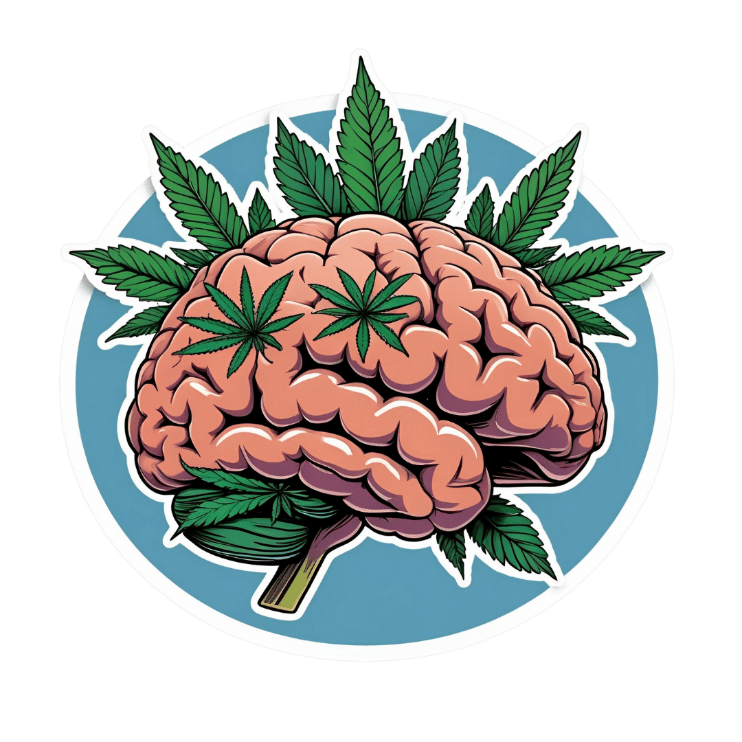 Cannabis & Mental Health: Good Or Bad? | 10almonds